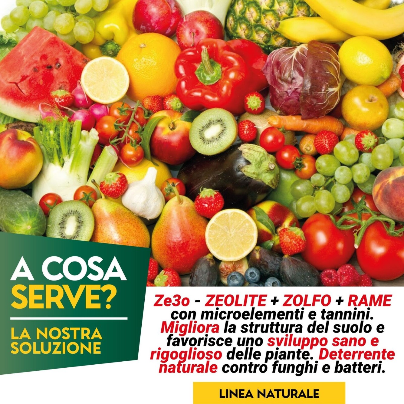 FUNGICIDA ZE3O ALBAGARDEN ZEOLITE+ZOLFO+RAME FORTE EFFETTO SINERGICO 1 KG